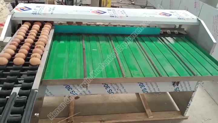 Egg Weight Sorting Machine Egg Weight Grader Egg Grader Sorting Machine ...