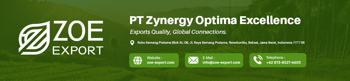 Company Overview - PT Zynergy Optima Excellence