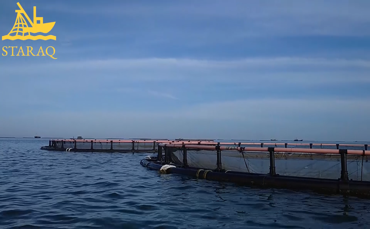 Aquaculture Trap Polyethylene Floating Net Cage for Efficient Sea Fish ...