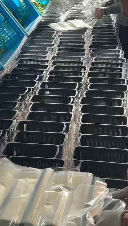 Pink Vegetable Chopper Onion Chopper - 15 in 1 Multi-Functional ...