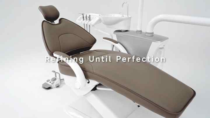 Buffalo High End Dental Chair Nappa Leather Ergonomic Design Heated ...