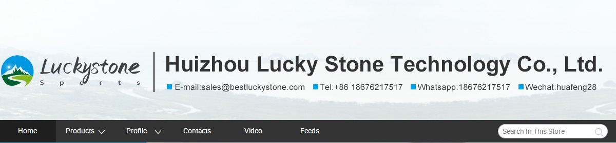 Company Overview - Huizhou Lucky Stone Technology Co., Ltd.