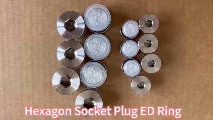 304 Stainless Steel Hex Socket Screw Plug M8-M30 Custom Size Plain ...