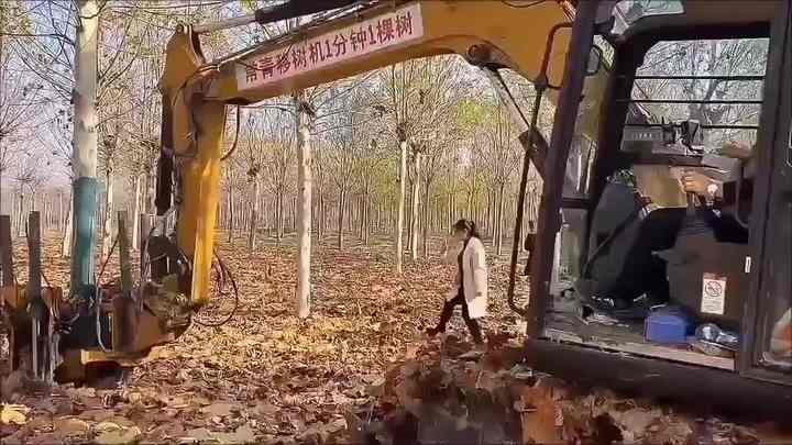Hydraulic Tree Spade Machine - Efficient Transplanting