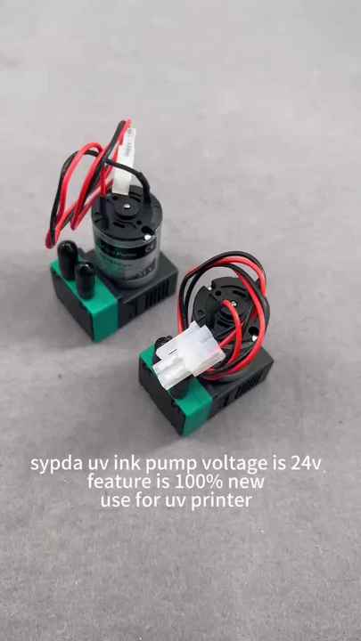 SYPDA UV Small Ink Pump 24V 3W 100-200ml/min Micro Pump for Flora Docan ...