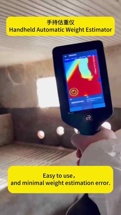 Digital Portable Pig Scale Accuracy Waterproof for Feed Efficiency ...