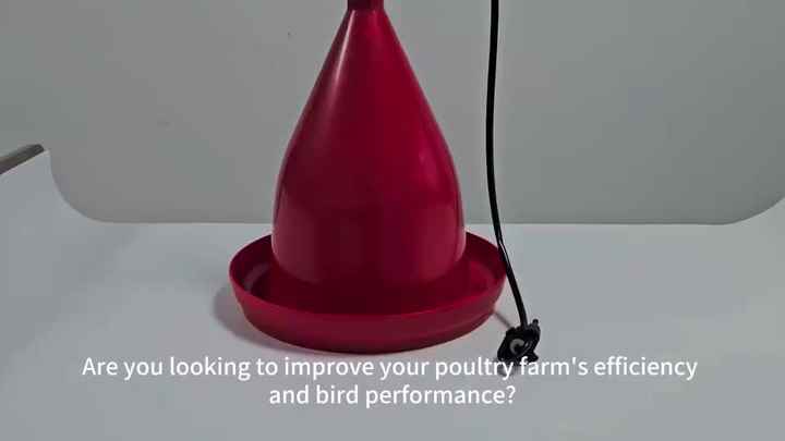For Plasson Automatic Drinker Water Trough for Broilers Chickens ...