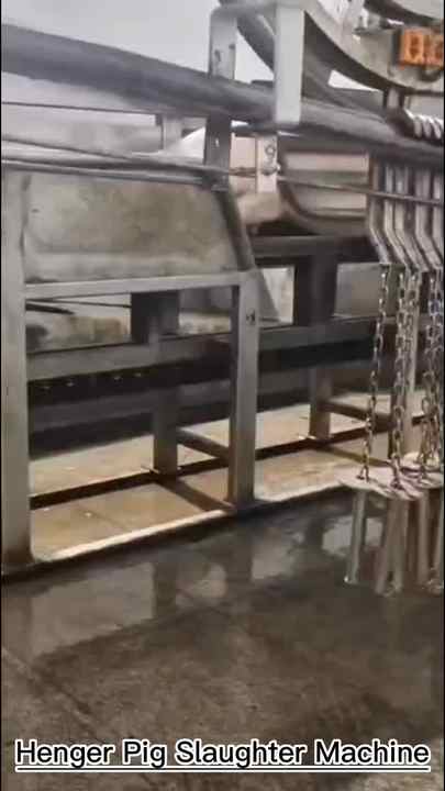 Industrial Stainless Steel Automatic Swine Processing Abattoir Machine ...
