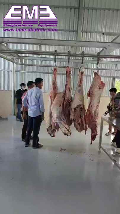 EME Cattle Abattoir Dressing Line Plant Butcher Machinery Beef ...