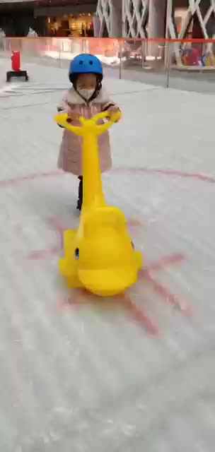 Ice Skate Helper Roller Skate Aid Skating Assistant Ice Rides| Alibaba.com