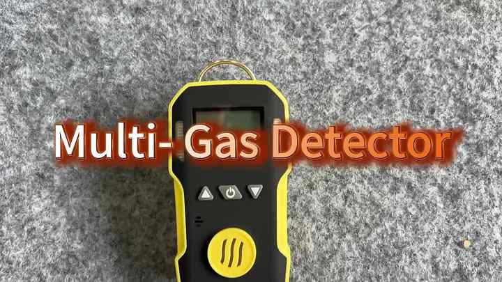 Portable Single Gas Detector CO/H2S/O2/NH3/EX for Firefighter Personal ...