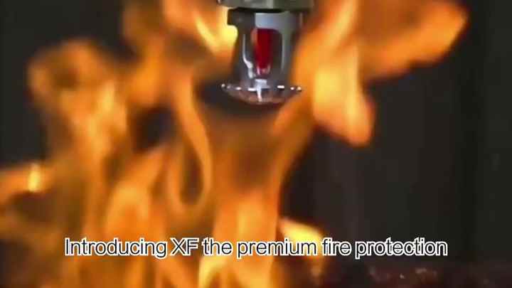 Essential Concealed Fire Protection Sprinkler Nozzle with Flexible ...