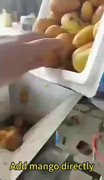 Industrial Mango Juice Extraction Machine/ Orange Pineapple Fruit Pulp ...