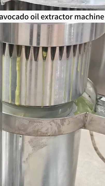 Hydraulic Cocoa Butter Oil Press Machine Avocado Peanut Oil Extraction ...