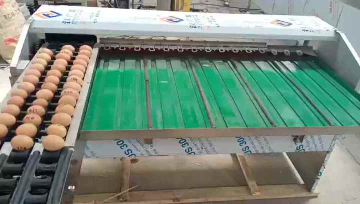 Egg Processing Machine Adjustable Egg Grading Machine Automatic Chicken ...