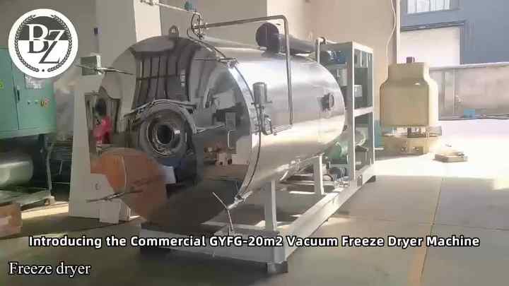 GYFD-5m2 Lyophilizer Freeze Dryer Machine 50kg Capacity 220V Drying ...