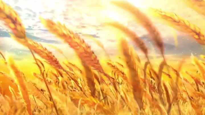 Chiffon Cake Premixed Powder 5kg Cake Mix 25kg Commercial Baking ...