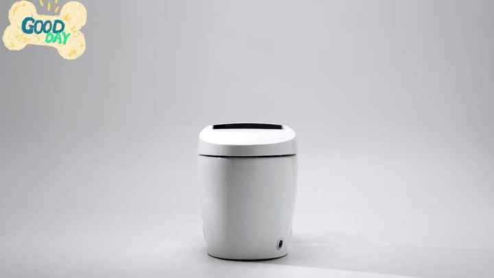 Smart Toilet with Auto Sensor Flush - Intelligent & Efficient
