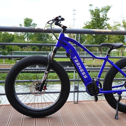 Changzhou Teeness Import And Export Co., Ltd. - Electric Bike, Electric ...