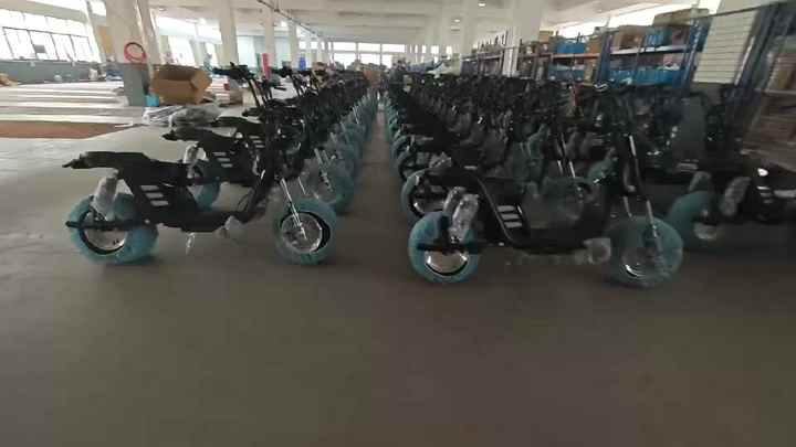 Citycoco Fat Tire Electric Scooter for Brazil Electric Citycoco ...