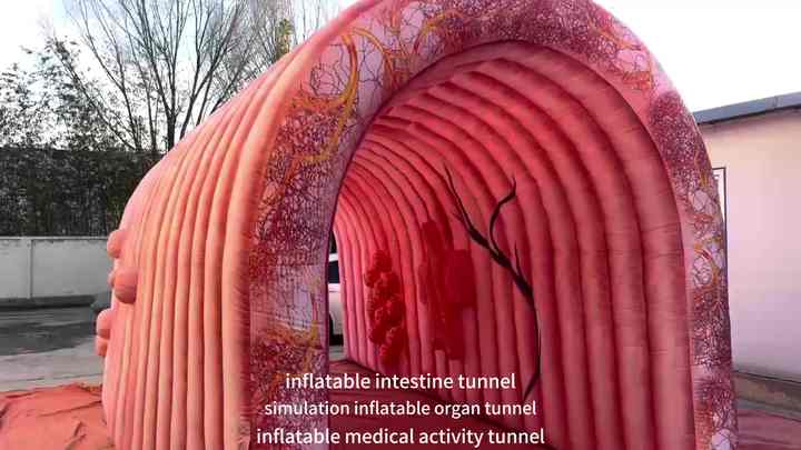 Extra Long, Inflatable Winding Colon Tunnel for Biomedical Activity