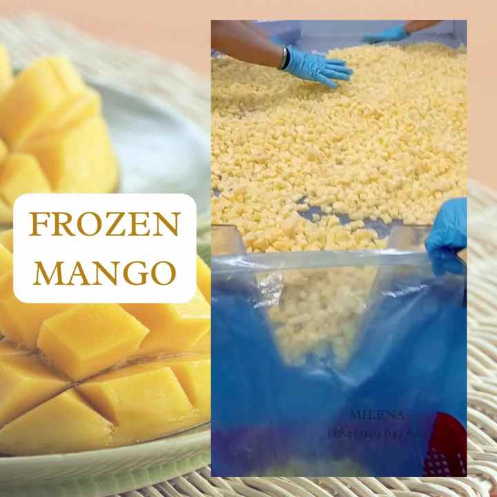 IQF Frozen Mango From Vietnam Natural Ripe Mango Cubes Tropical Sweet ...