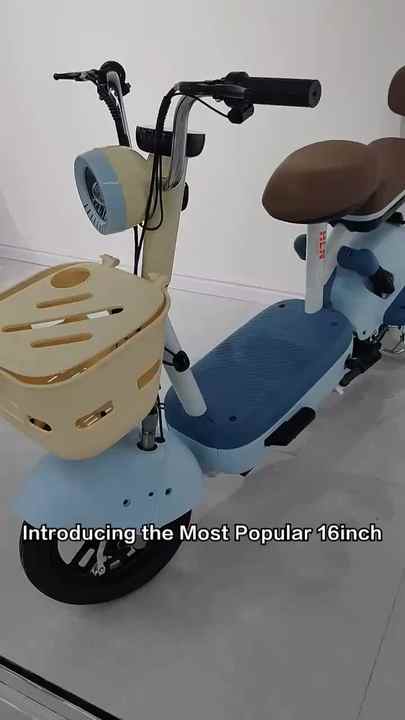 Popular 2-Wheel Electric Moped Scooter 350W Motor Power 48V 3-Speed ...