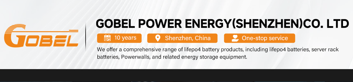 Company Overview - Gobel Power Energy (Shenzhen) Co, Ltd.