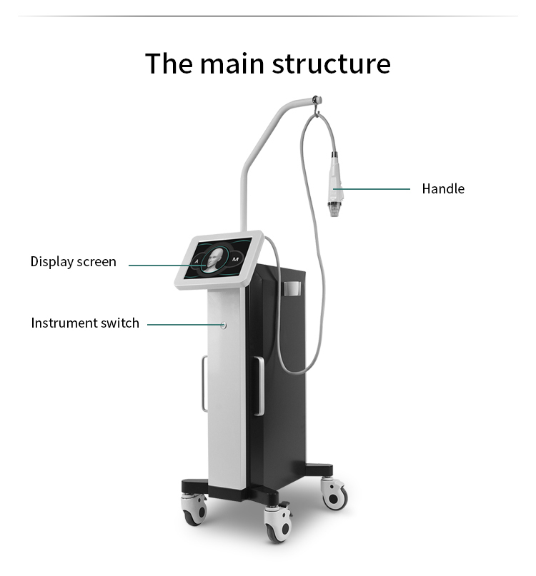 Microneedling Machine Professional: Golden Radio Frequency Secret RF ...