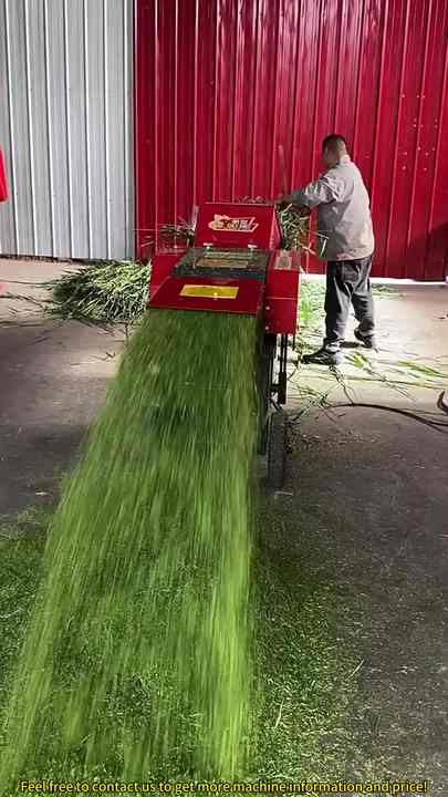 Grass Chopper Machine for Animal Feed - Forage Shredder Chopper Made in ...