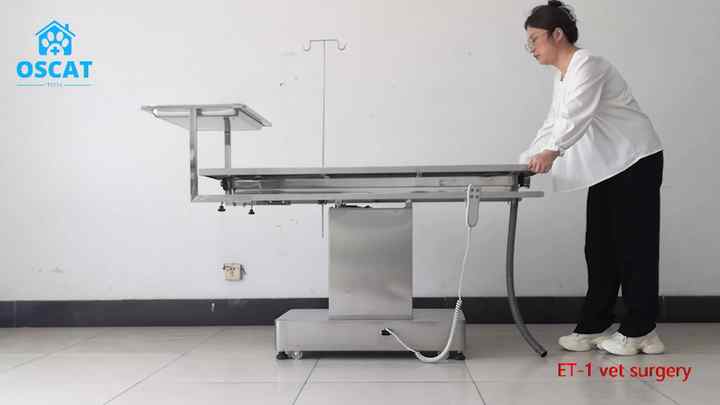 OSCAT Veterinary Equipment Stainless Steel Preparation Dental Table ...