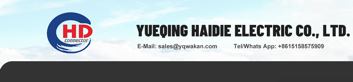 Company Overview - ZHEJIANG HAIDIE ELECTRIC CO., LIMITED