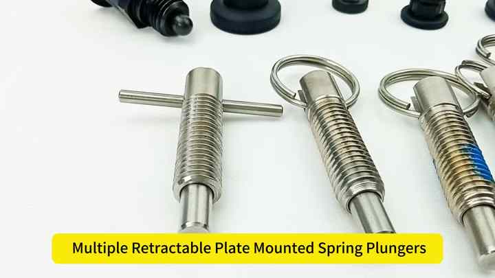 Spring Loaded Plunger Pin Pull Ring Indexing Plungers-lifting Knob with ...