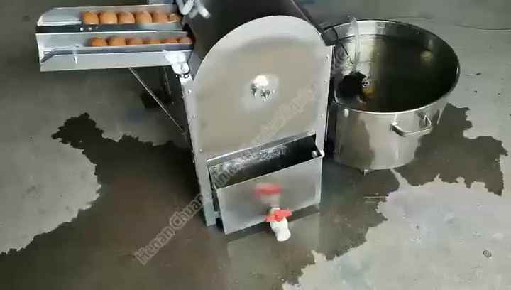 Egg Washing and Sorting Machine Egg Washing Machine Small Automatic Egg ...
