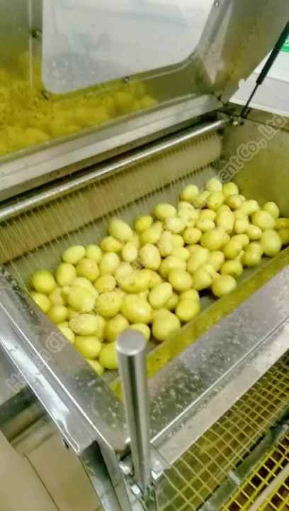Potato Peeling, Washing, and Chip Maker Machines for 2024