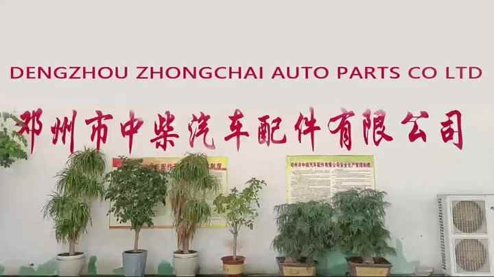 0445110619 Electronic Diesel Common Rail Injector Assembly 0 445 110 ...