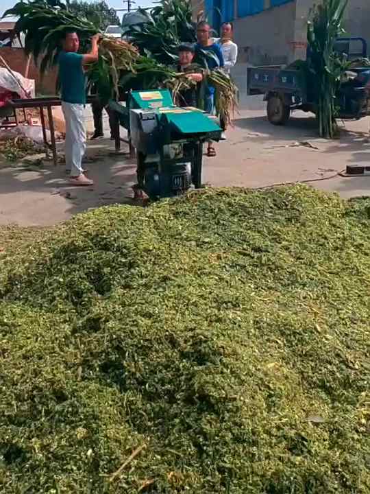 Chaff Cutter Machine Animal Grass Cutter Animal Feed Grass Straw ...