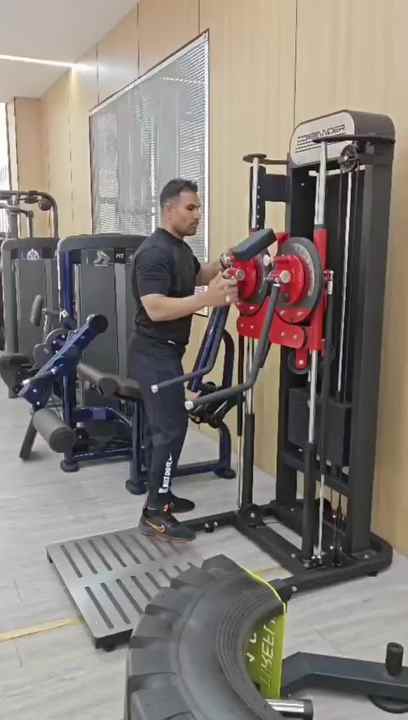 Pin Loaded Commercial Use for Gym Lateral Raise Fitness Equipment Power ...