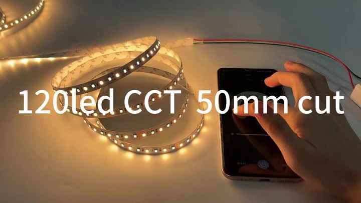 Bi-Color 2835 LED Strip Light 120LEDs/M 10mm Smart CCT Adjustable ...