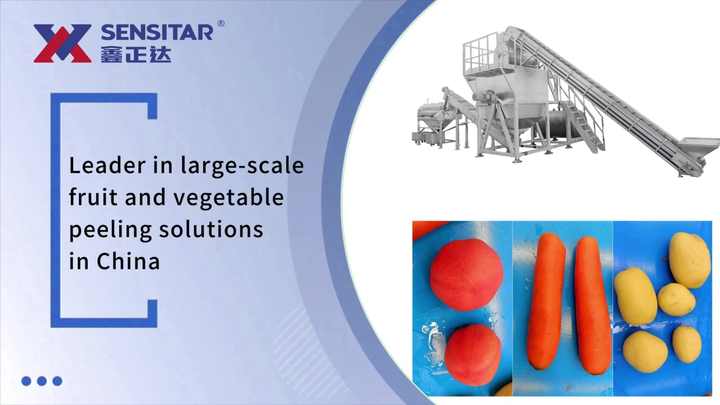 5 Tons/hr Steam Peeling Machine for Efficient Fruit & Veg Processing