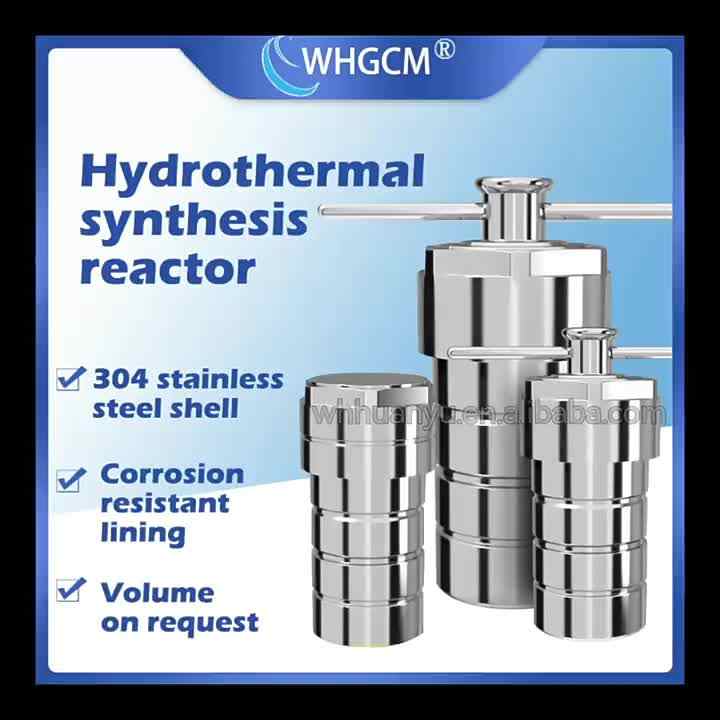 200ml Hydrothermal Synthesis Reactor Autoclave with PTFE Liner