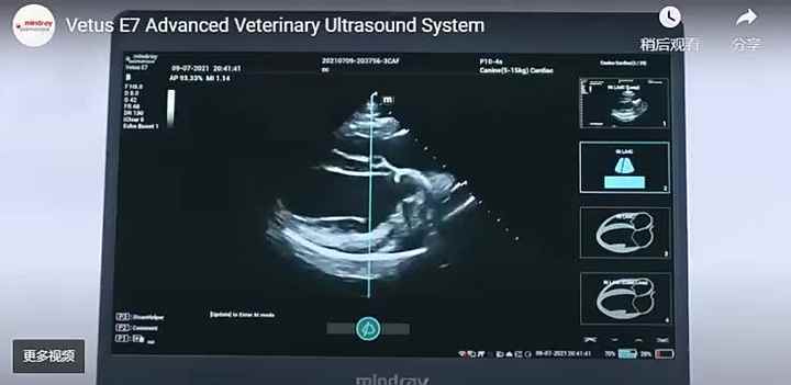 Mindray Vetus 7 Veterinary Ultrasound System – Color Doppler Imaging ...