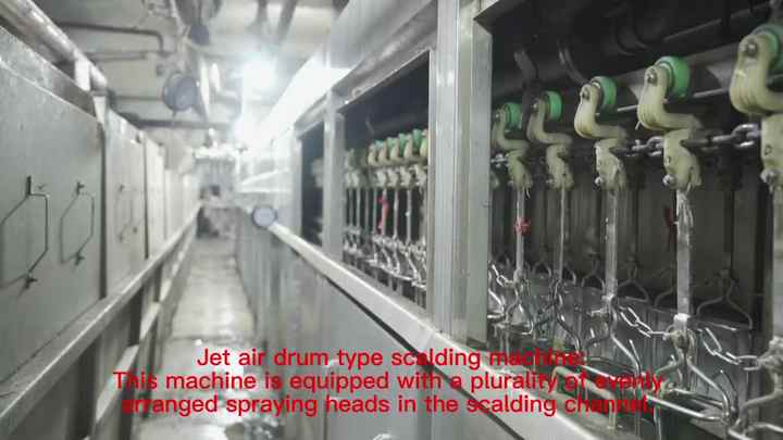 Broiler Slaughter Machine Jet Air Scalding Machine| Alibaba.com