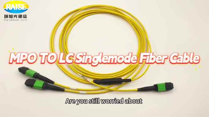 适用于FTTH的16股Semko MPO母APC至2x 12股Senko MPO母APC SM标准损耗2.4毫米聚氯乙烯光纤接插电缆 ...