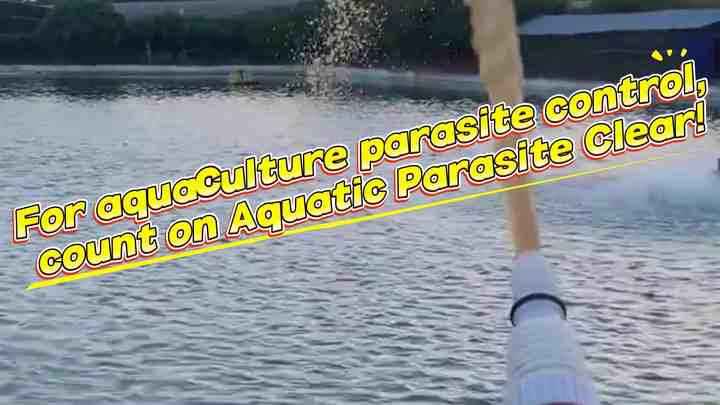 Aquatic Parasite Clear Fish Parasite Solution Plant-Derived for ...