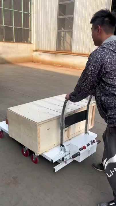 New Portable Transportation Cargo Hoist Vehicle Electric 88cm Lifting ...