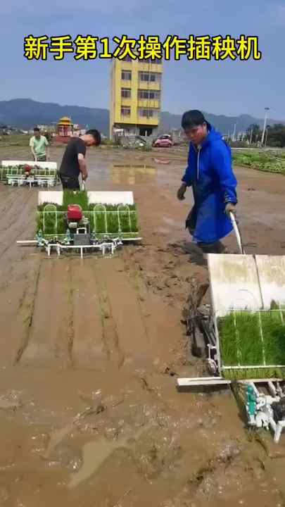 Rice Paddy Transplanter - High Productivity Planting Machine