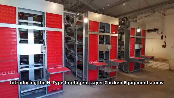 Automatic Layer Capacity Battery Cage Layers Chicken Cage System ...