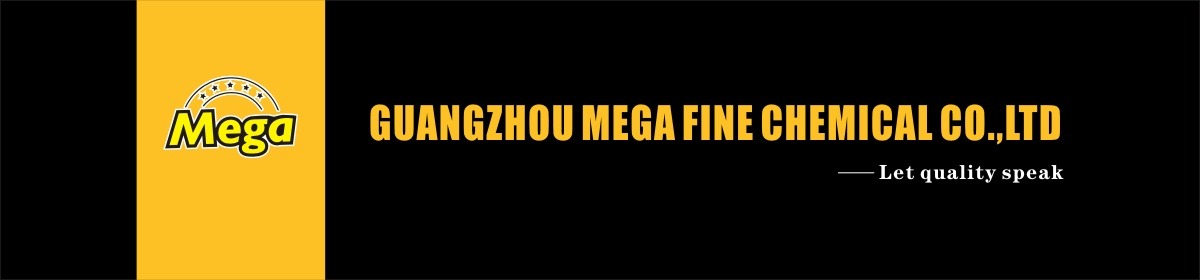 Company Overview - Guangzhou Mega Fine Chemical Co., Ltd.