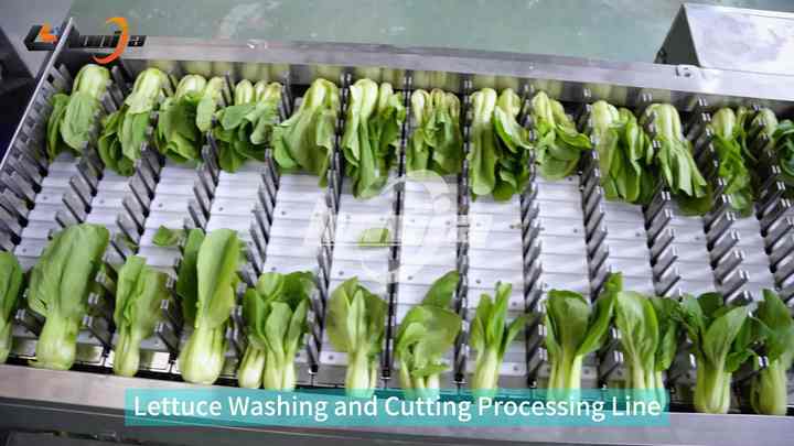 Commercial Bok Choy Chicory Picking Table Vegetable Cutting Machine ...